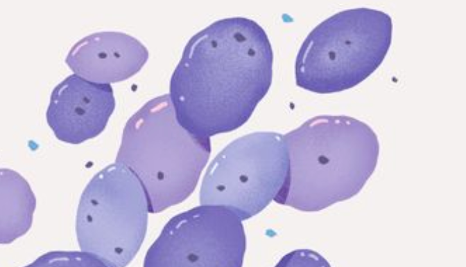 Everything you need to know about bacterial vaginosis! – Lunette NZ